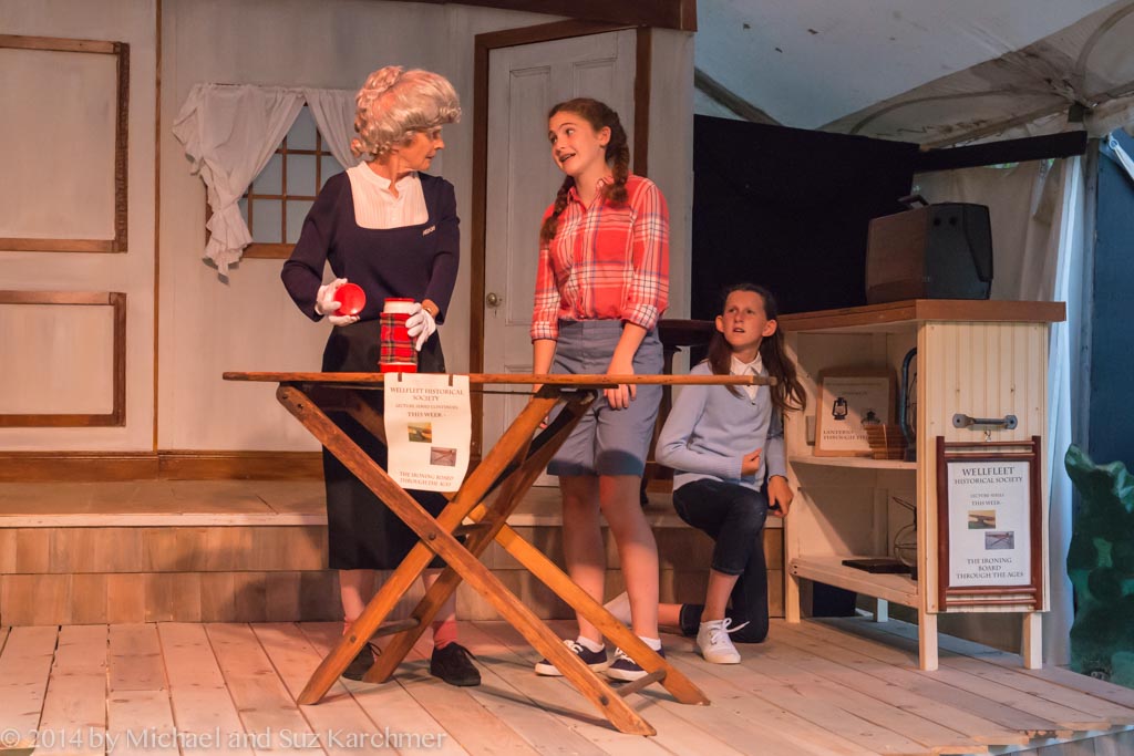 Surfside Snoops E-11 | Wellfleet Harbor Actors Theater